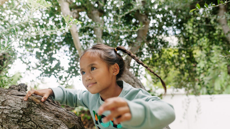 Confidence and Self-Esteem in Children - Child Mind Institute